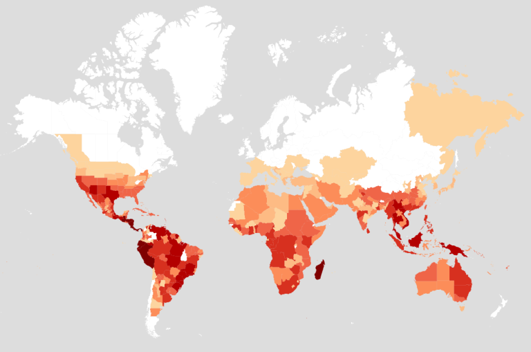 Pheidole - The Ants of Saiyuen