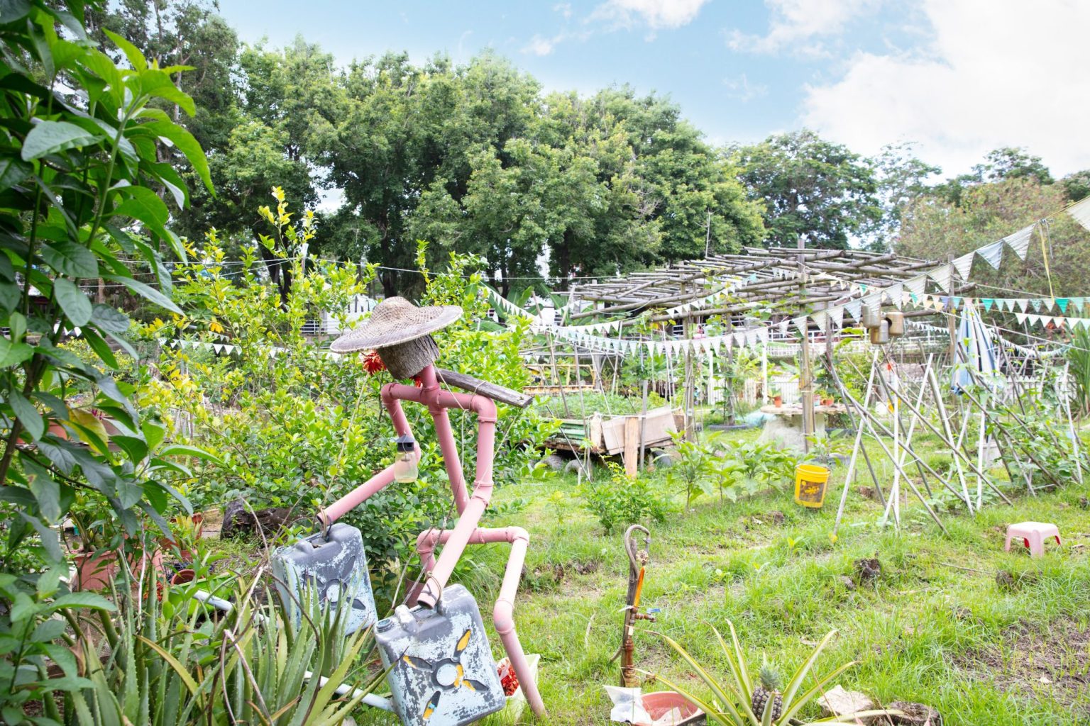 Ants and where to find them - The Ants of Saiyuen