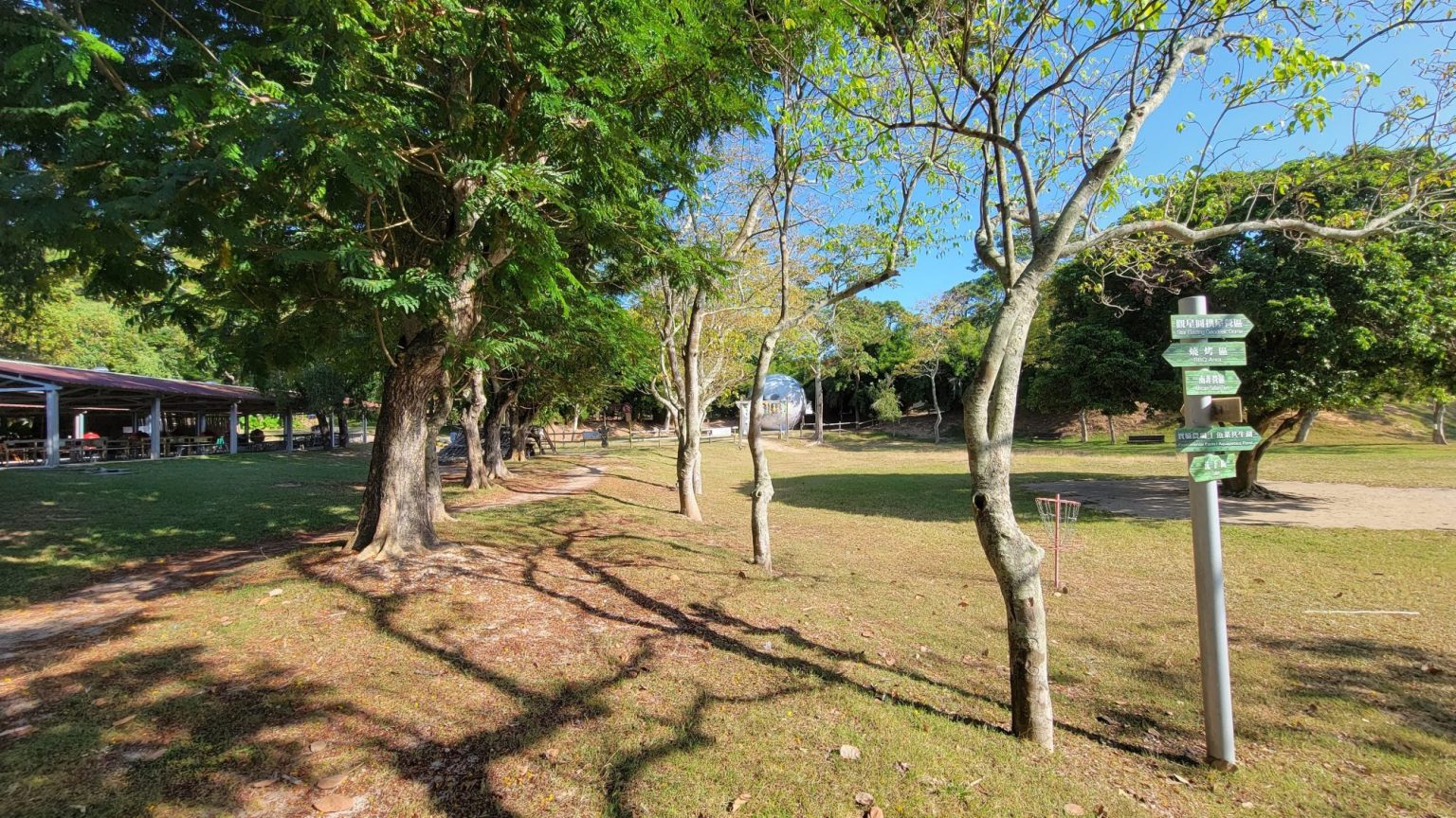 Home - The Ants of Saiyuen