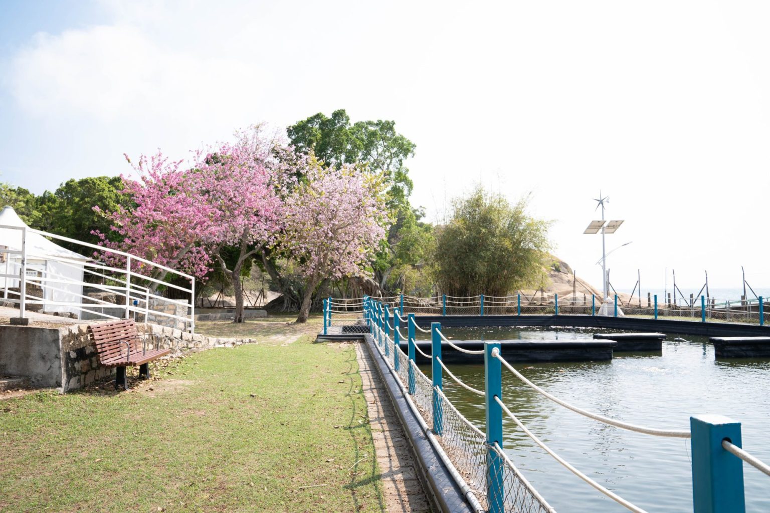 Home - The Ants of Saiyuen